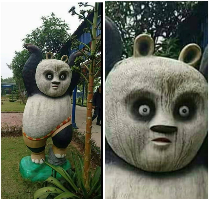 Remember the indonesian tiger? This is the panda - 9GAG