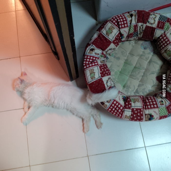 F*ck The System... - 9GAG