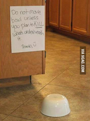 The Art of wimping out - 9GAG