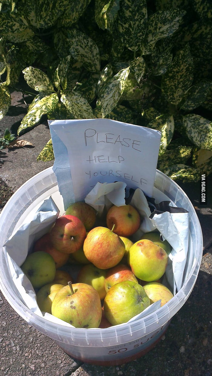 It's the little things like this that make my day - 9GAG