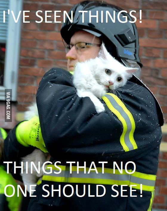 This cat has seen some shit. - 9GAG