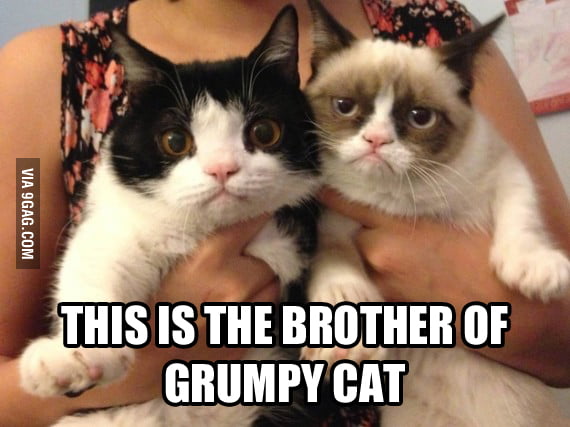 Maybe you already know - 9GAG