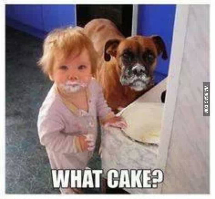 I forgot to eat my cake !!! - 9GAG