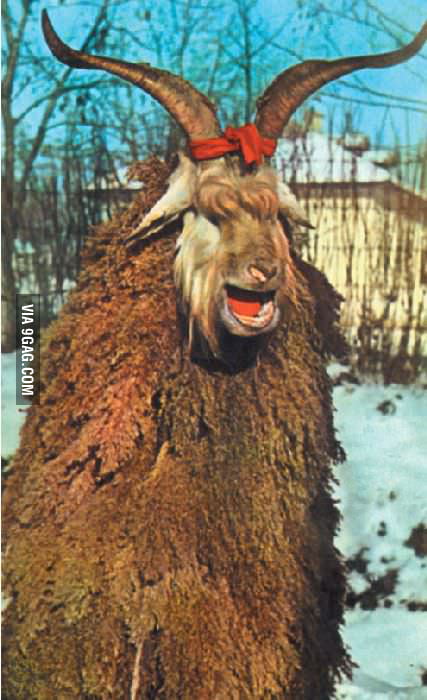 Romanian man in goat costume, used in Christmas rituals - 9GAG