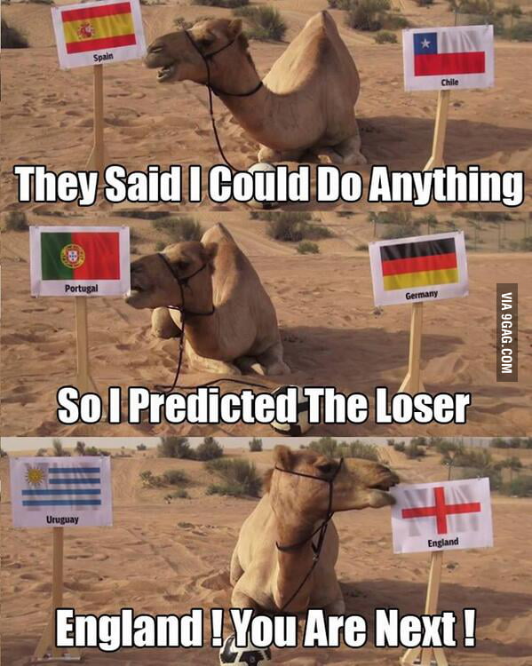 Goodbye England, because camel says so - 9GAG