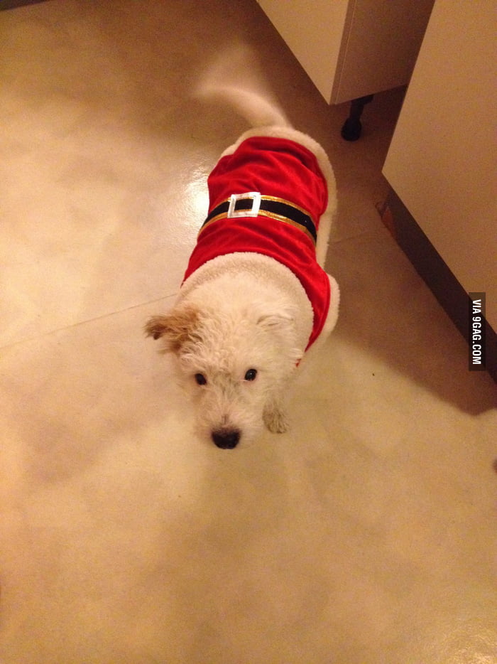 Santa is early this year! - 9GAG