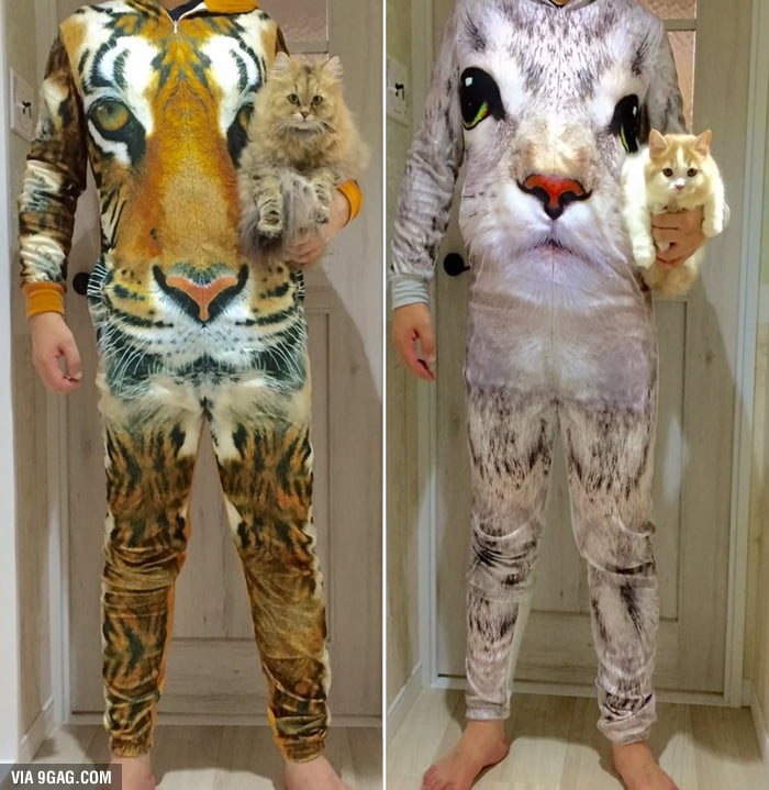 Cat pajamas - 9GAG