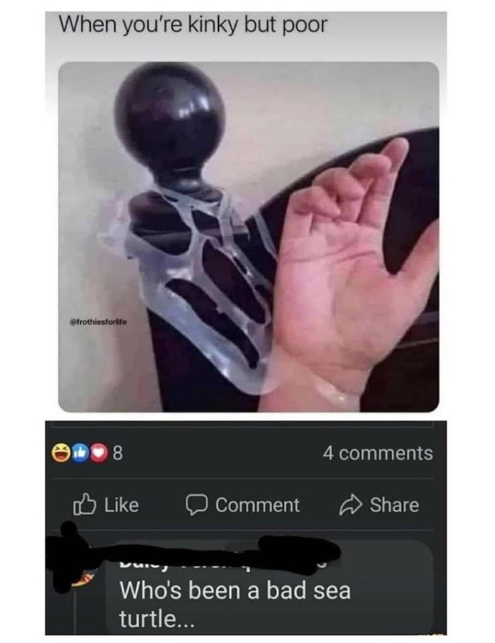 I’ve been a bad sea turtle - 9GAG