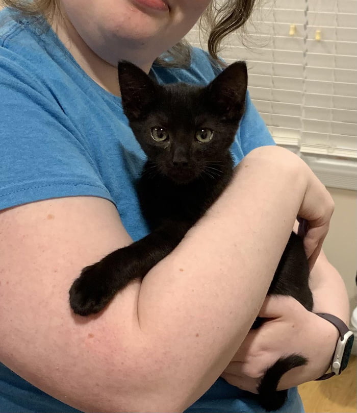 Acquired this tiny void today and have yet to name him - 9GAG