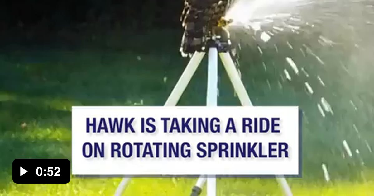 Waterhawk, the super soaker - 9GAG