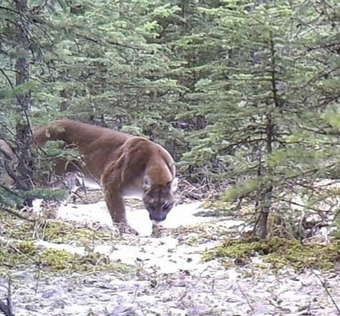 Absolute brick shit house of a unit - 9GAG