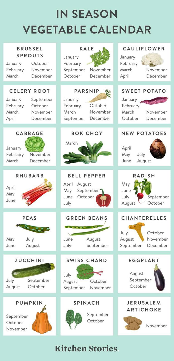 A Cool Guide To In Season Vegetables Calendar - 9GAG