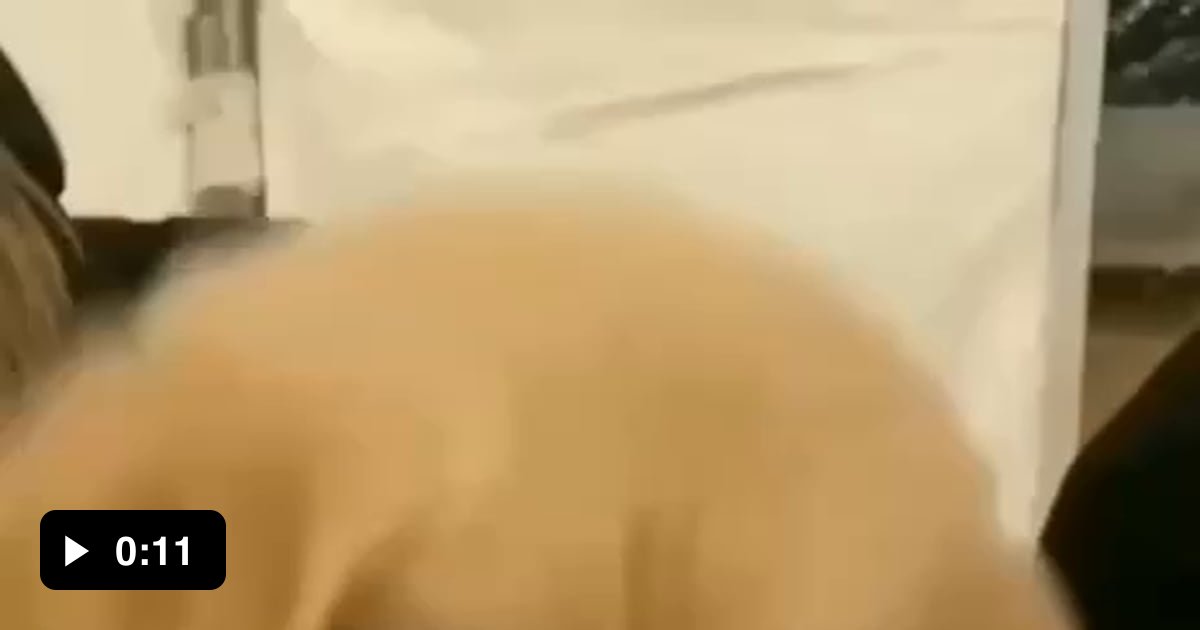 Cutie 9gag