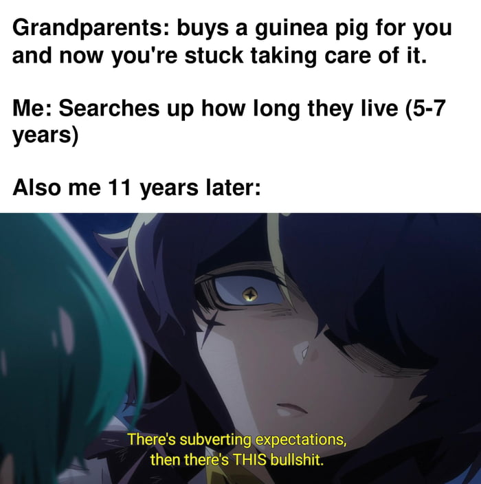 I've been cleaning your shit for over a decade. Why won't you die? - 9GAG