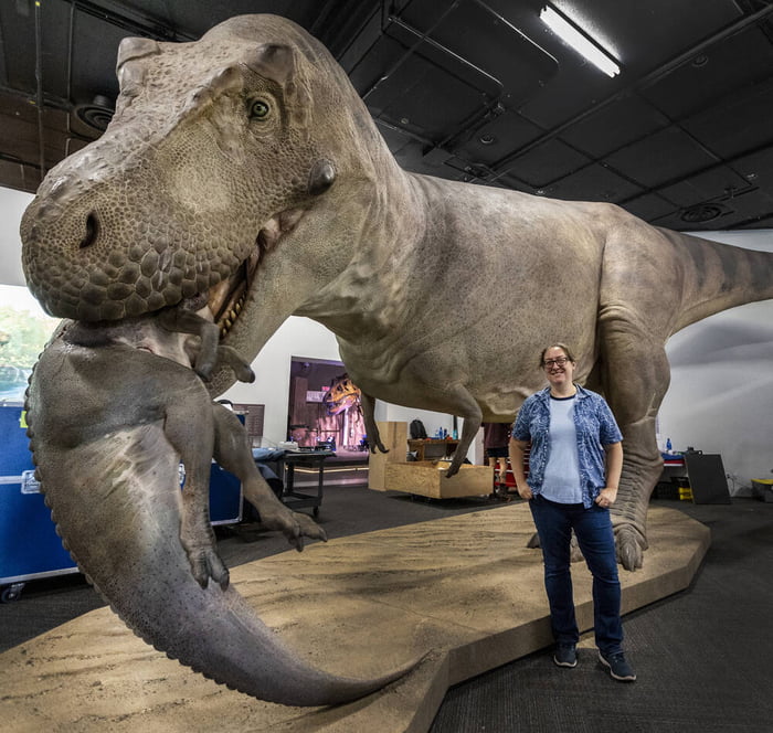A life-sized model of FMNH PR 2081 (nickenamed "Sue"), the most well ...