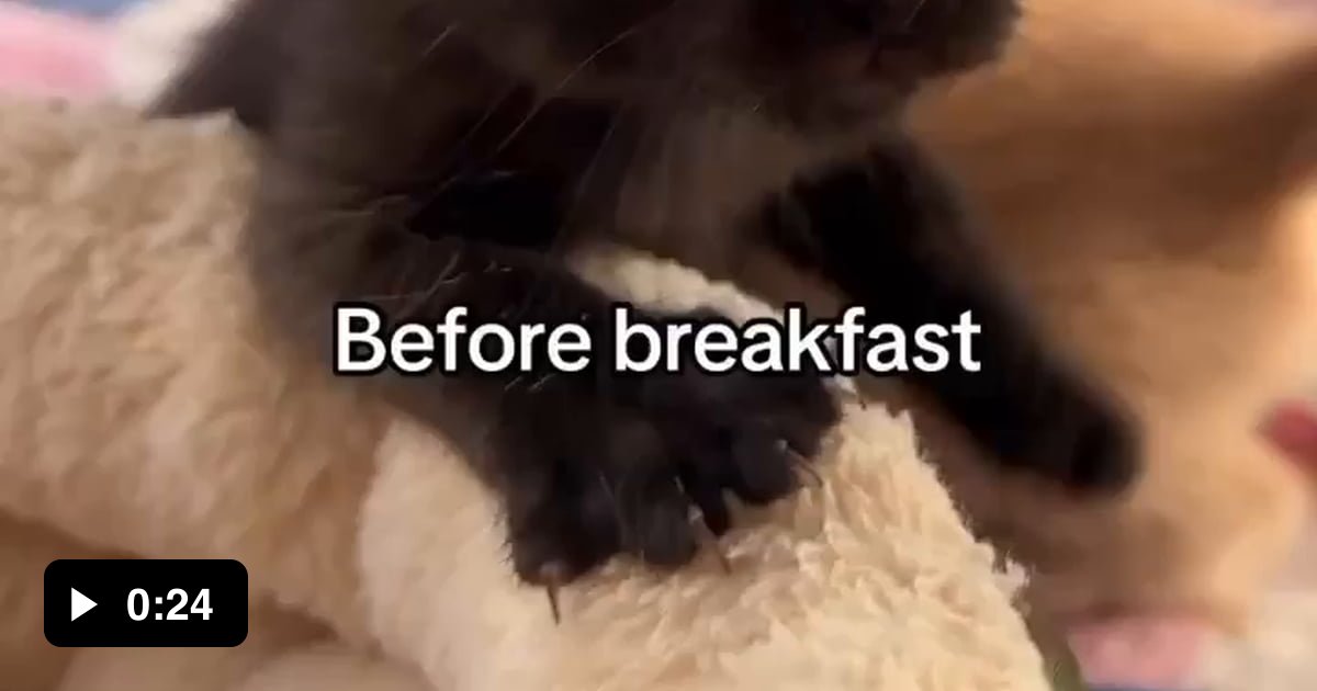 Before & After Breakfast - 9GAG