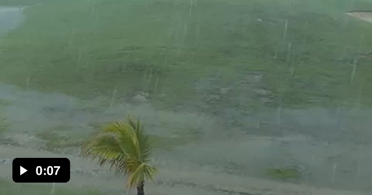 Looks like it's going to rain - 9GAG