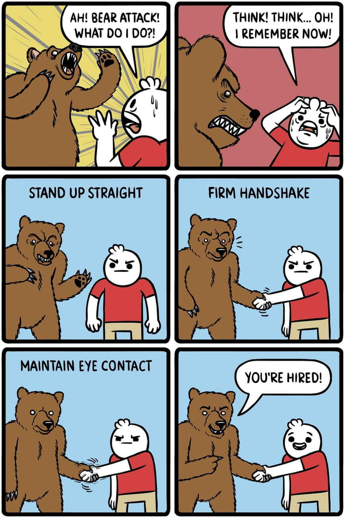 Bear: - 9GAG