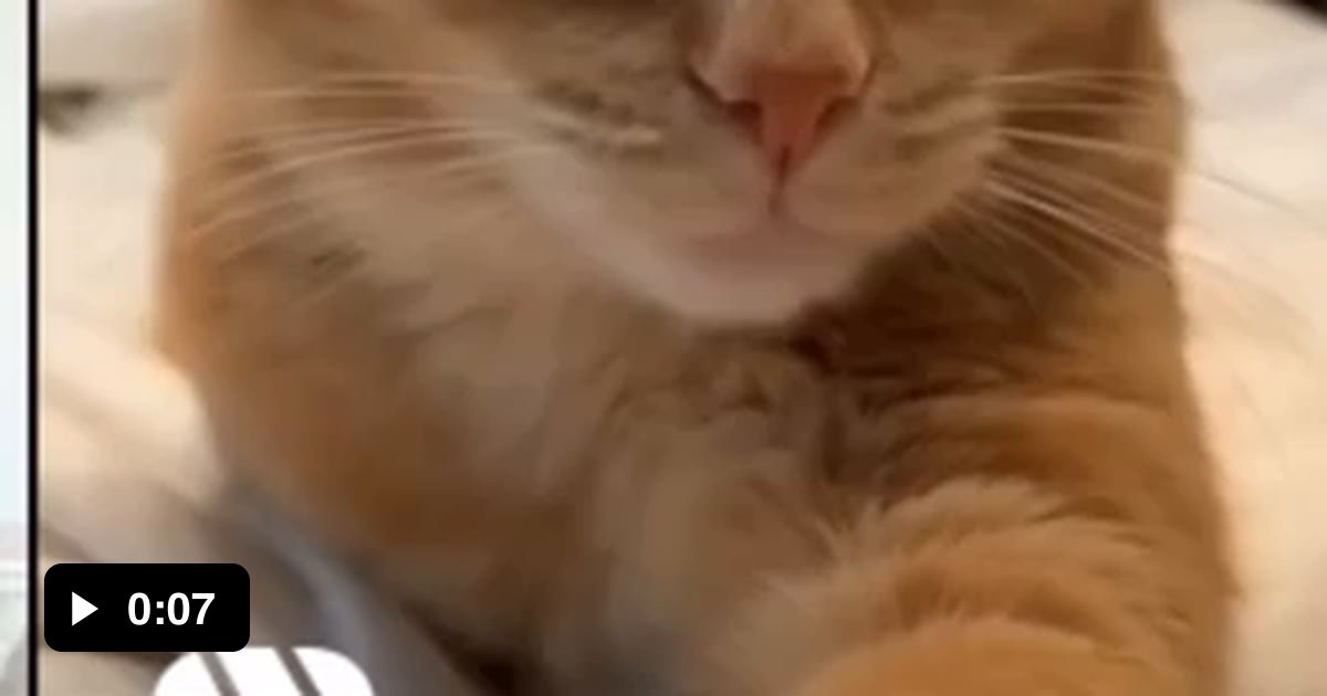 Instagram recommendations lining up nicely - 9GAG