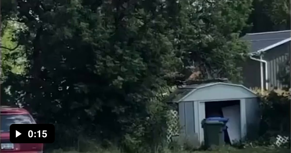 Todays episode of crackhouse inventions - 9GAG