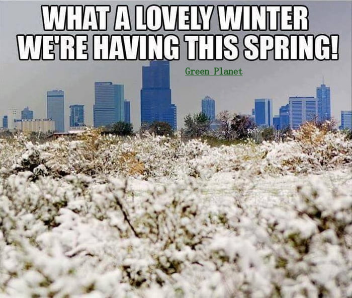 What a lovely winter! - 9GAG