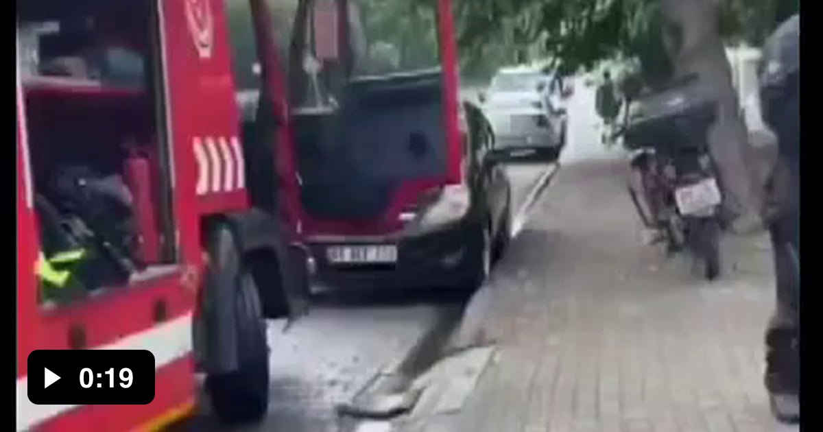 What the hell dawg! - 9GAG