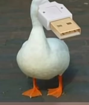 USD - Quacks your computer to spread viruses - 9GAG