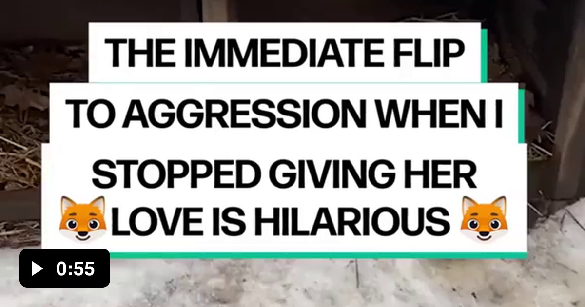 Foxes really are just cat software running on dog hardware - 9GAG