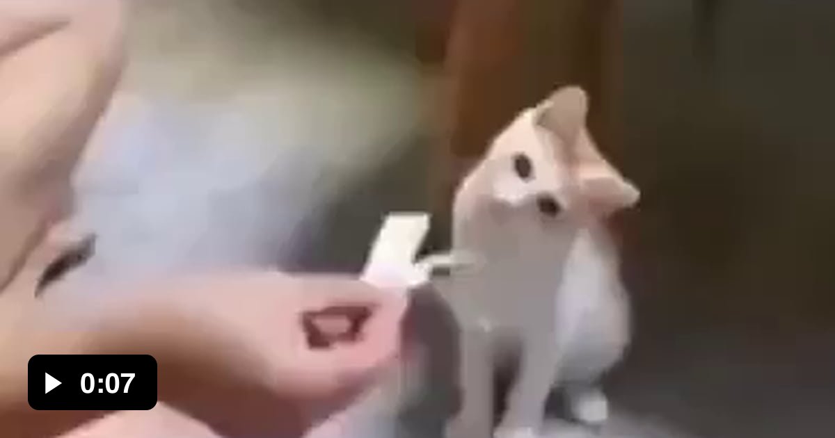 Saw the Devil - 9GAG