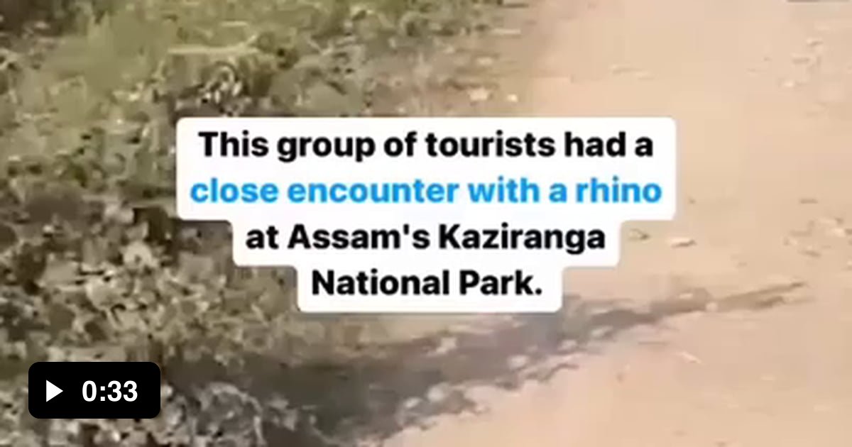 Rhino chases a group of people - 9GAG