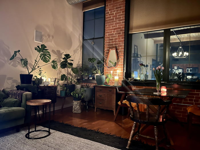 Plant corner of the loft, Central MA, USA - 9GAG