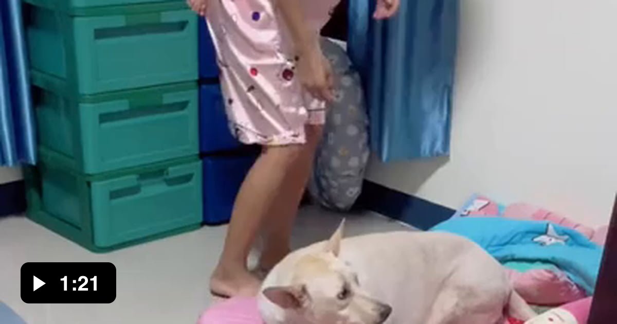 Bed time routine. - 9GAG