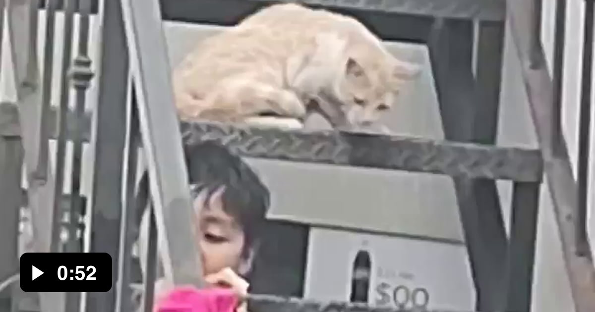 Well executed plan - 9GAG