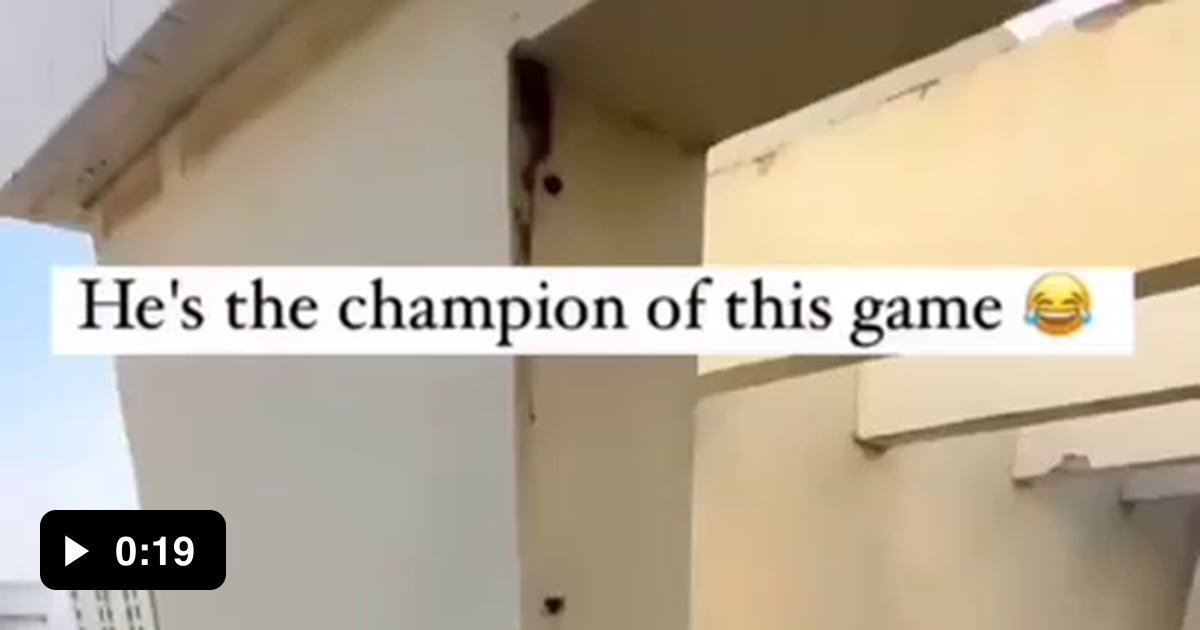 Hide and seek - 9GAG