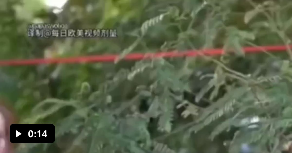 Your daily guru advice - 9GAG