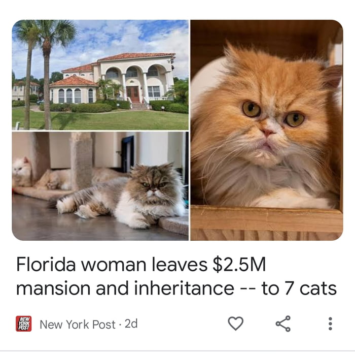 Lucky fluff balls - 9GAG