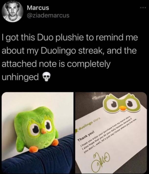Duolingo Bird is coming for you - 9GAG