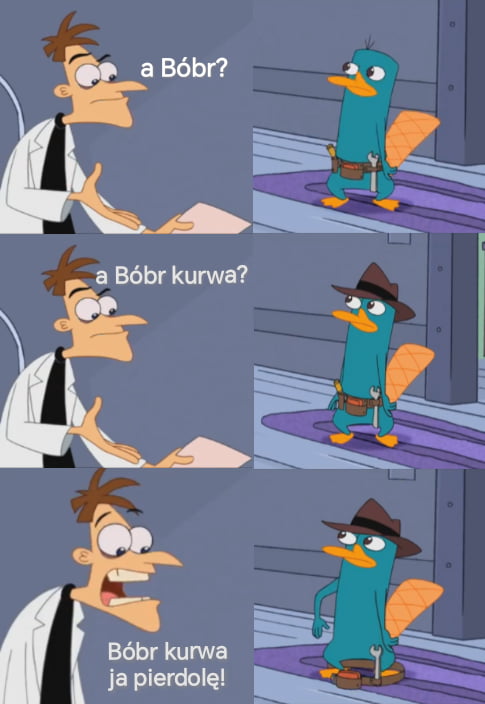 What kind of Bóbr are you? - 9GAG