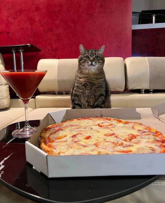 Wonderful dinner guest. Sparkling conversationalist. Exemplary manners ...