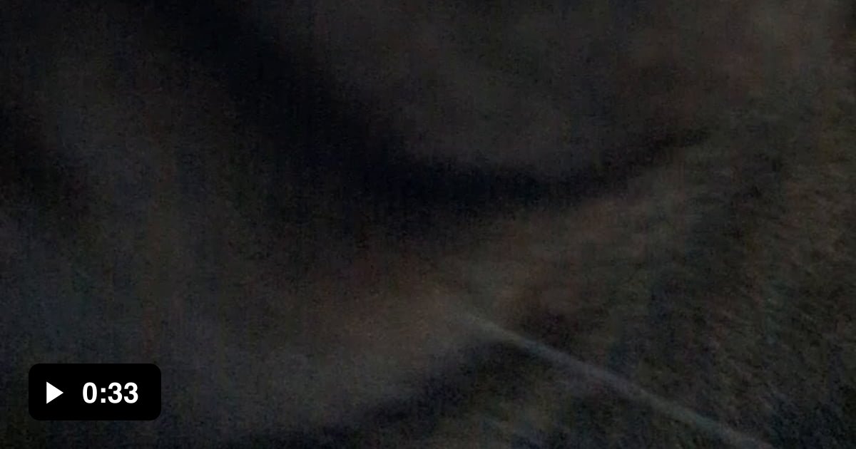 Purr, snort, meow... - 9GAG