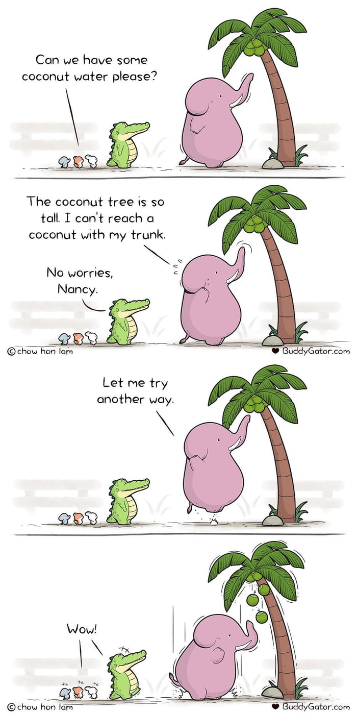 Buddy Gator - Coconut Tree - 9GAG