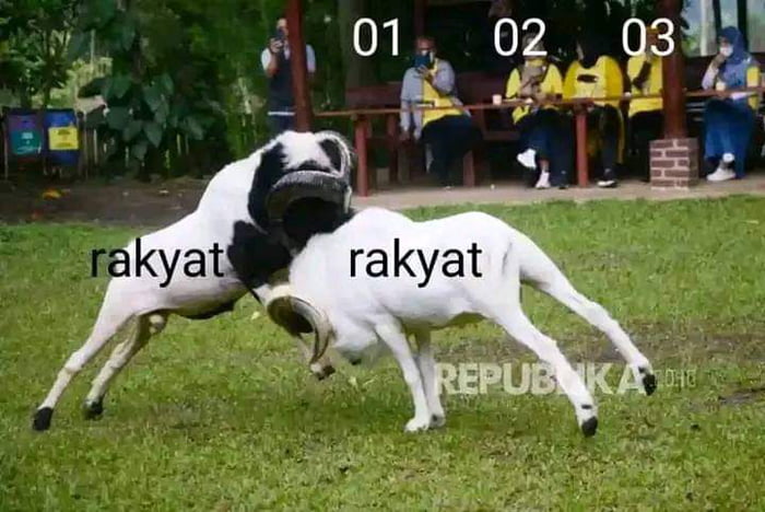 Adu Rakyat - 9GAG