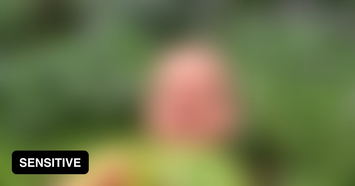 Bizarre fruits in Costa Rica - 9GAG