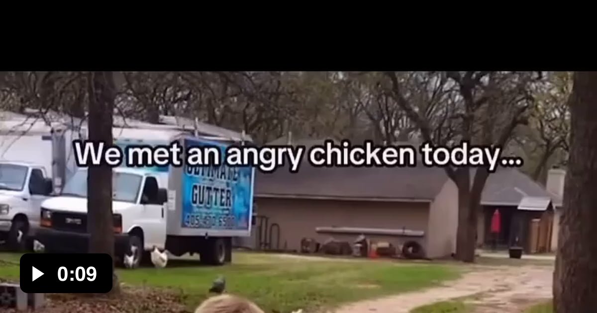 Attacked by an agitated chicken. - 9GAG