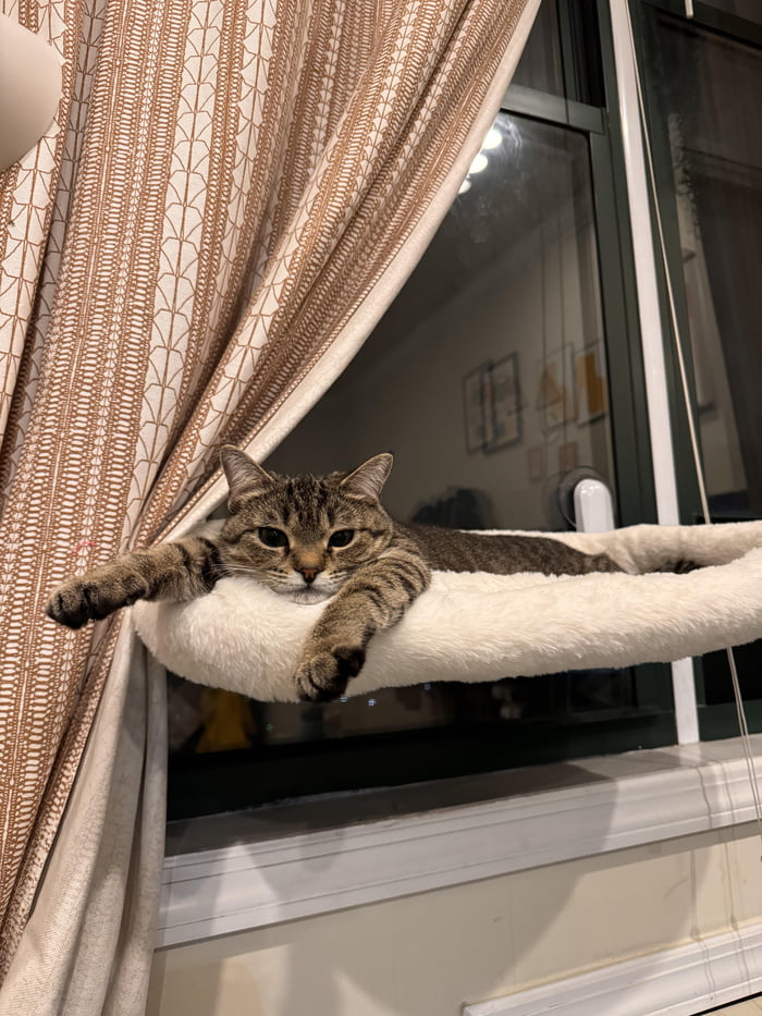 To be this comfy - 9GAG