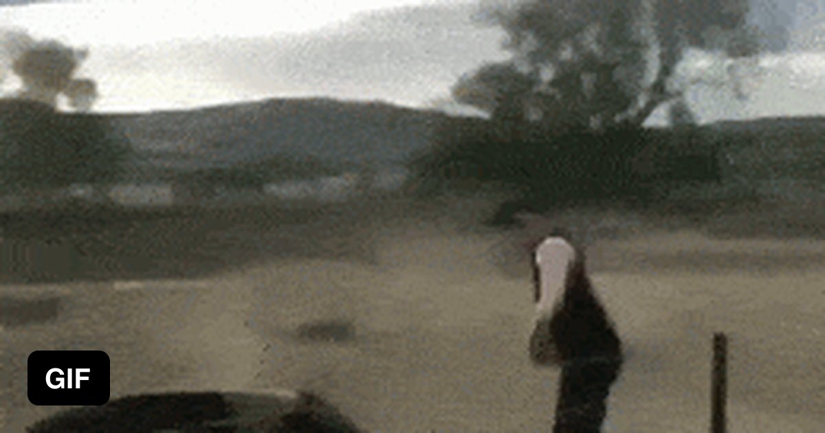 Bacon overdrive activated - 9GAG