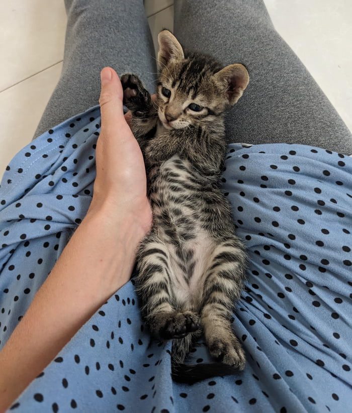 A very smol tummy - 9GAG