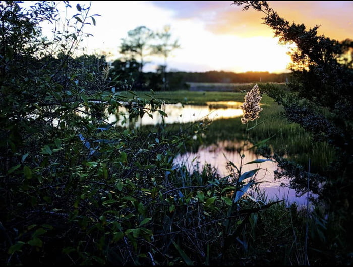 Sunset over this nature preserve - 9GAG