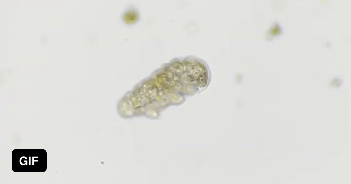 Tiny Tippy Taps - 9GAG