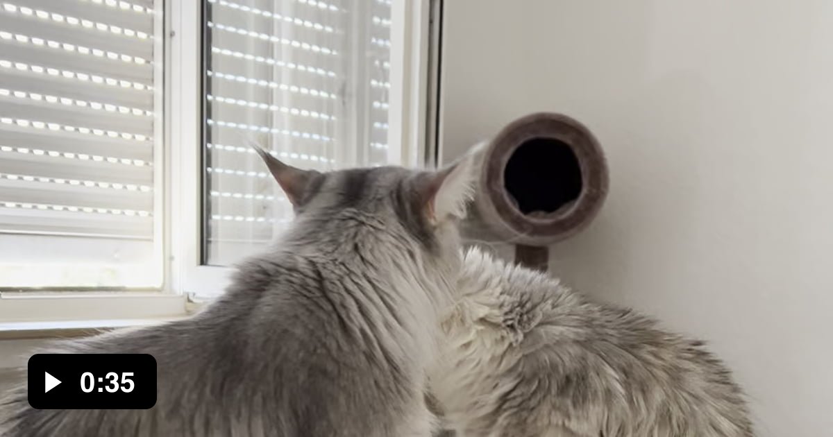 Let me clean you! - 9GAG